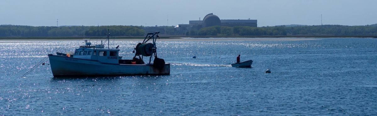 Clamshell Alliance - NH Radical History